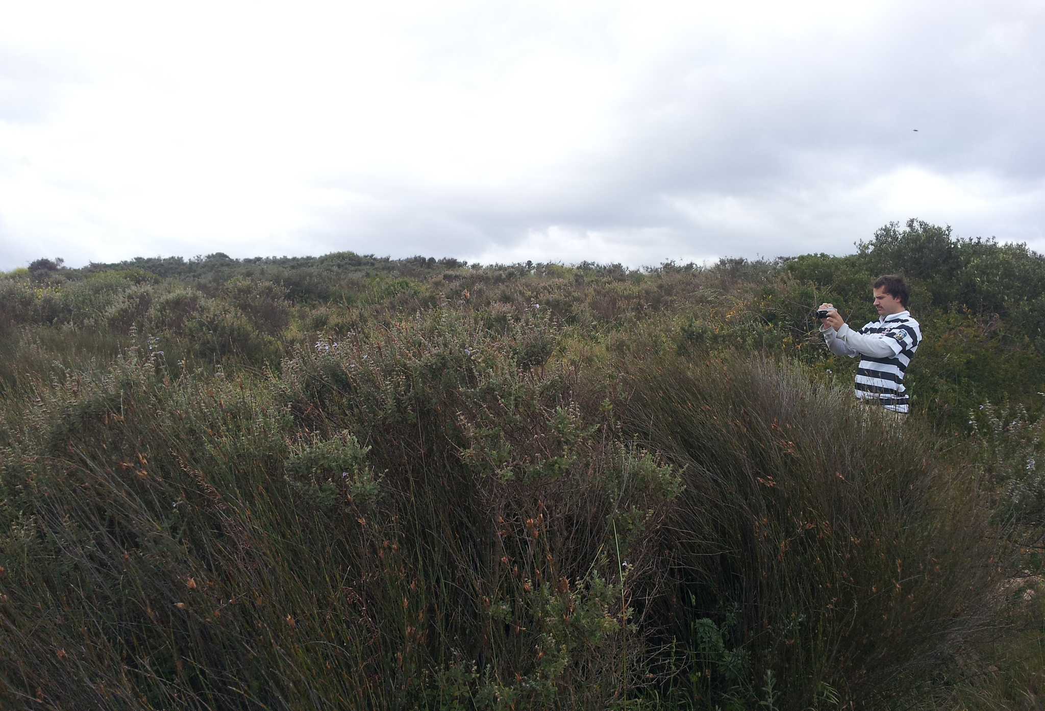 Bracken Nature Reserve - Reconnect with Nature at Bracken